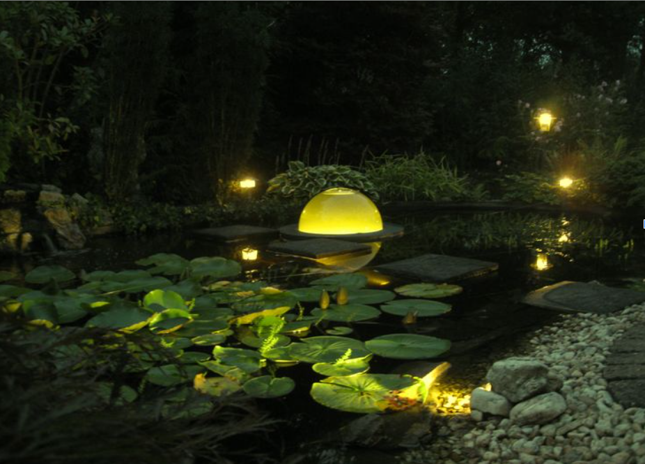Pond Lighting: Transforming Your Outdoor Water Feature Into a Nighttime ...